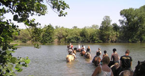 KENTUCKY RANCH : Loisirs Famille Plus